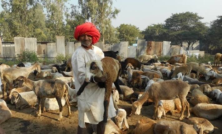 NOMADIC FARMING – International Journal of Research (IJR)