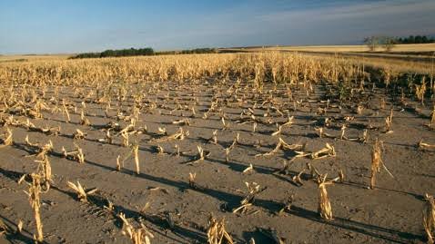 CROP FAILURE – International Journal of Research (IJR)