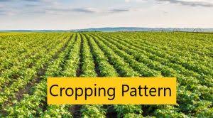 CROP SYSTEM – International Journal of Research (IJR)