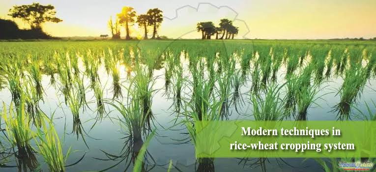 CROP SYSTEM – International Journal of Research (IJR)