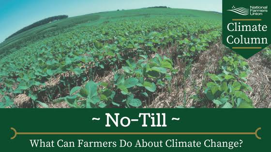 NO TILL FARMING – International Journal of Research (IJR)
