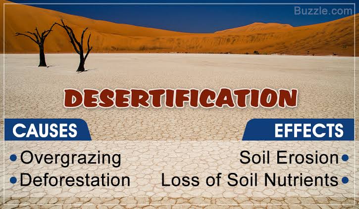 DESERTIFICATION – International Journal of Research (IJR)