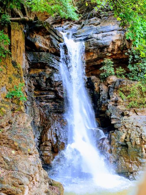 Goa: The smallest state with magnificent surprises – International ...