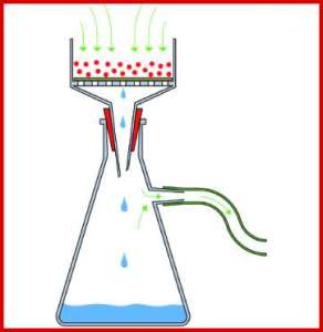 How to Choose the Right Buchner Funnel for Your Experiment ...