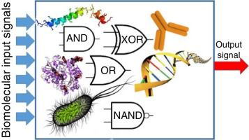 What is Biocomputing – International Journal of Research (IJR)