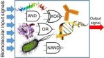 What is Biocomputing – International Journal of Research (IJR)