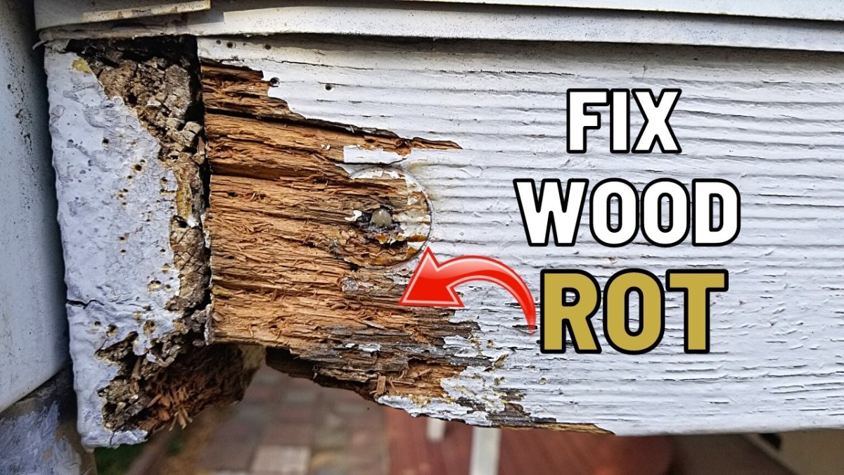 DIY versus hiring a pro for dry rot repairs – International Journal of ...
